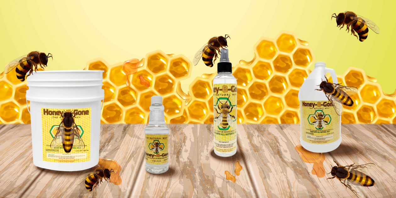 Honey-B-Gone: Revolutionizing Honey Removal — Blythewood Bee Company