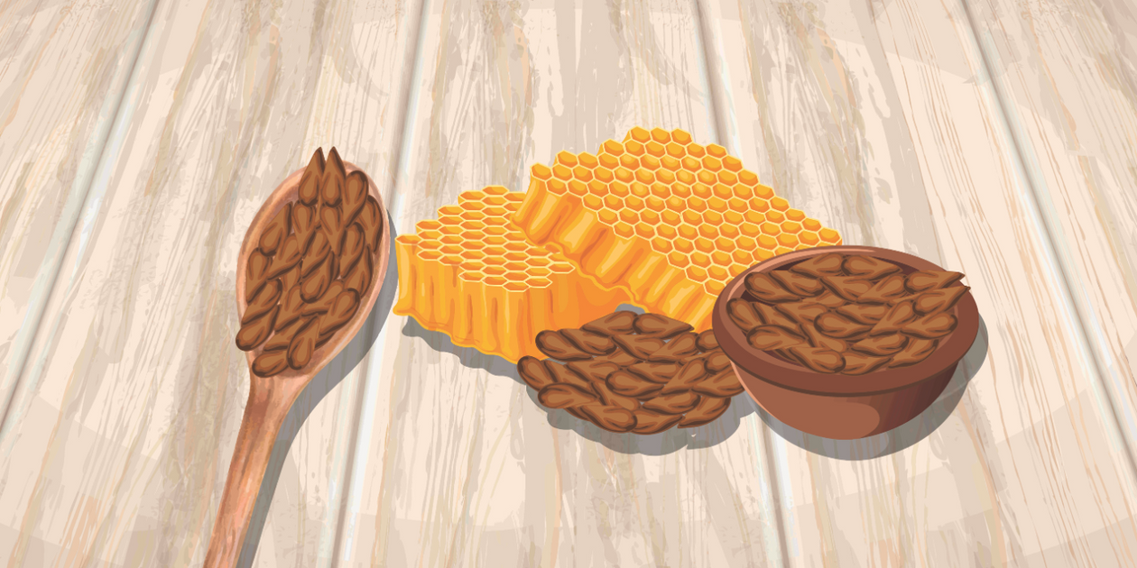 The Role of Propolis | Nature’s Antibiotic Inside the Hive — Blythewood Bee Company