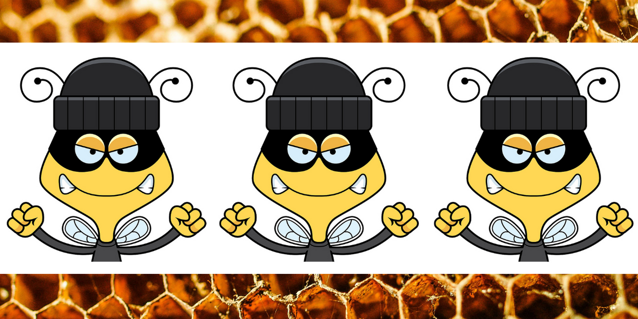 Robbing Bee Activities: When Bees Turn to Crime — Blythewood Bee Company