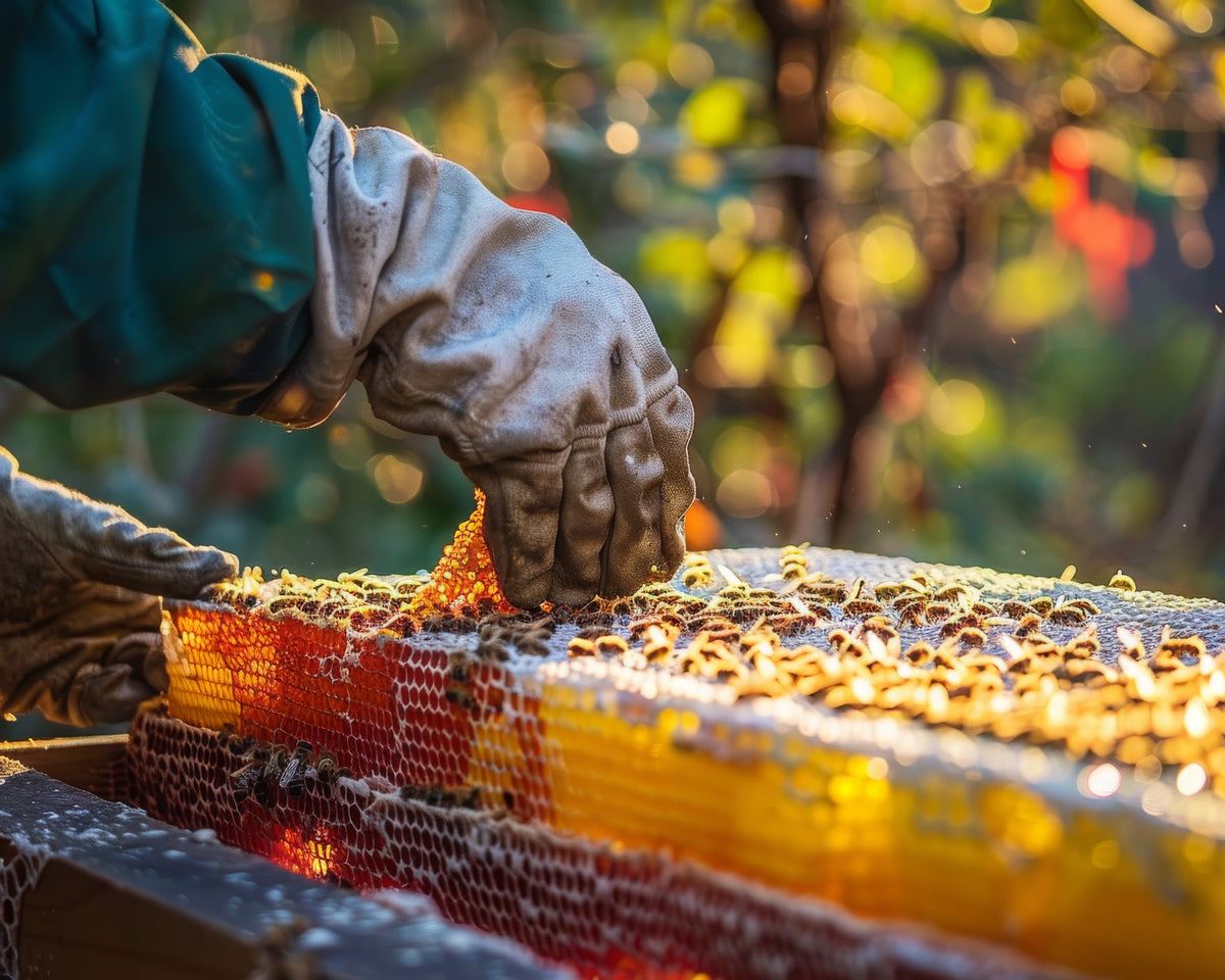 Start a Beekeeping Business: Tips for Success & Growth — Blythewood Bee Company