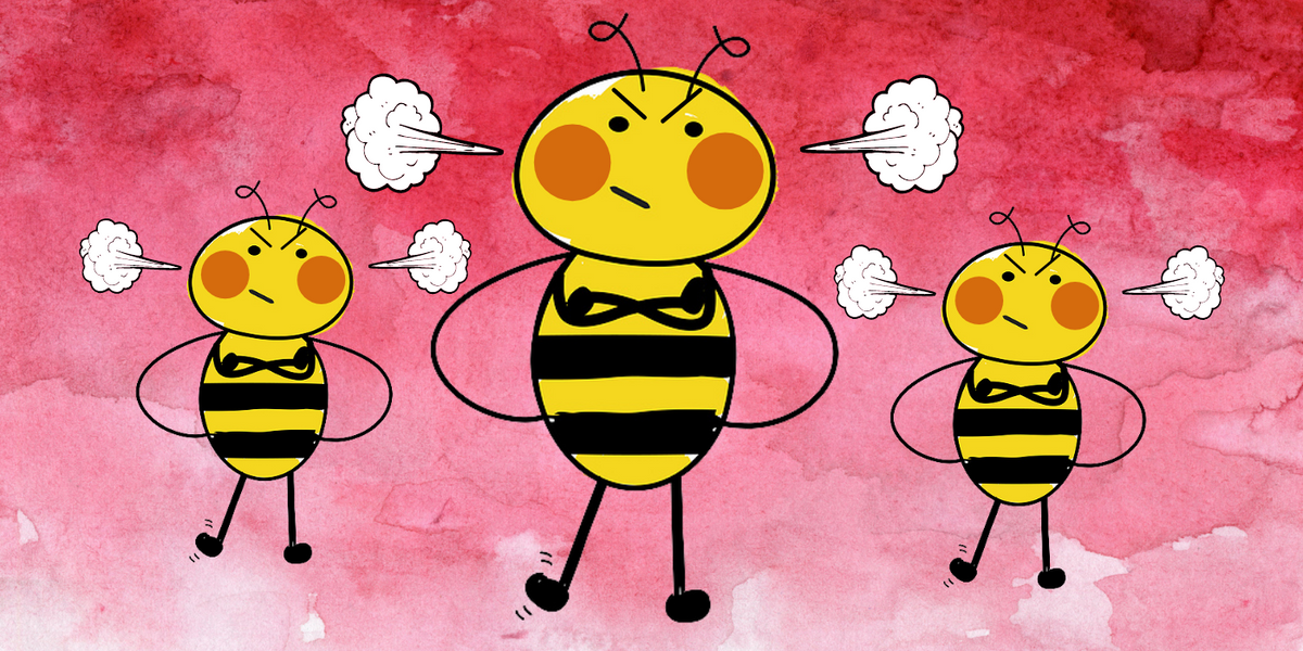 Grumpy Bees? 4 Reasons Why It May Be Your Fault — Blythewood Bee Company