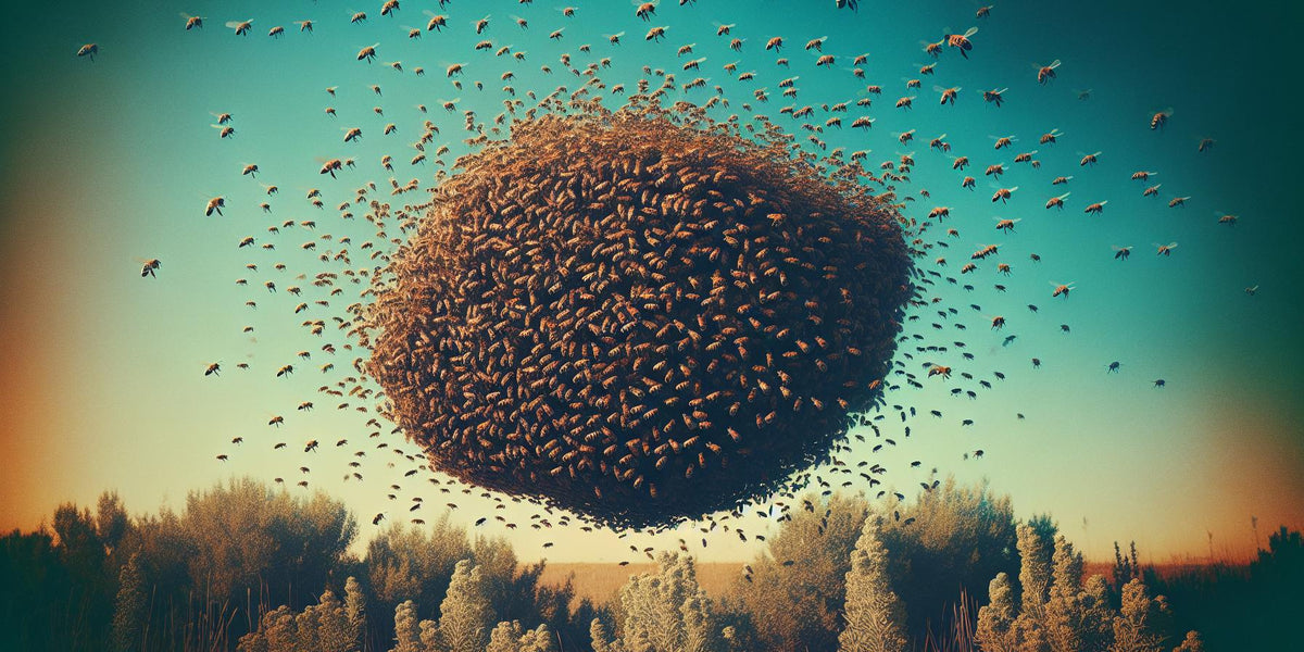 What Is Bee Swarming? A Natural Behavior of Honeybees — Blythewood Bee ...