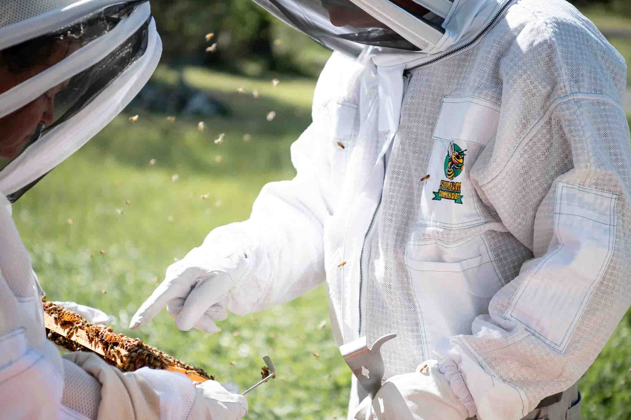 Beekeeping Supplies & Services | Blythewood Bee Company