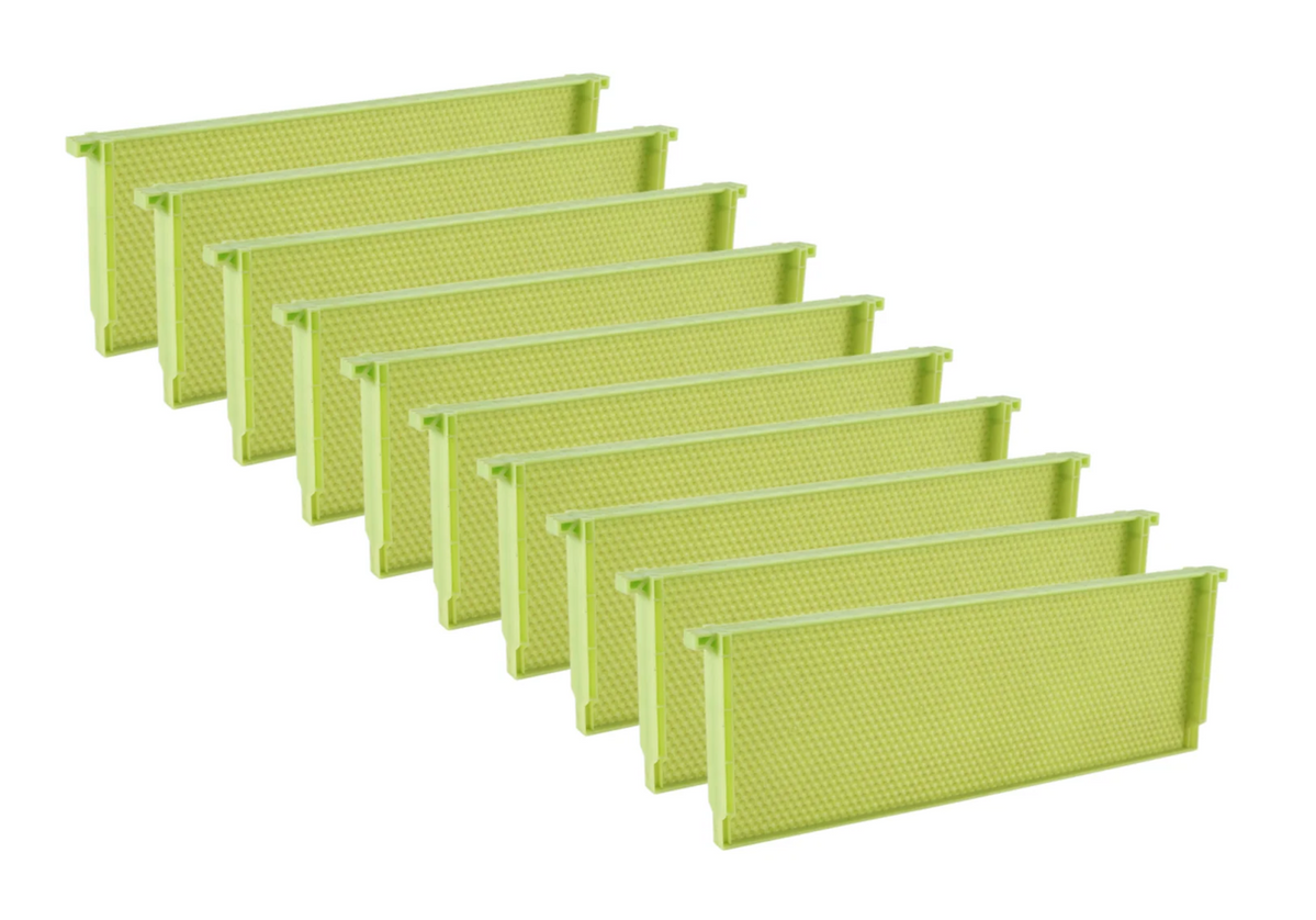 6 1/4 Acorn Medium Drone Frames - 10 Pack — Blythewood Bee Company