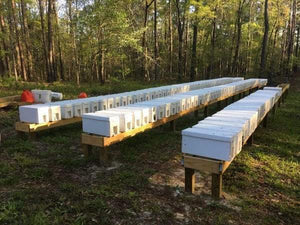 Beekeeping Supplies & Services | Blythewood Bee Company